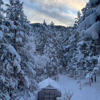 Kramer Cottage | Modern Mountian Gardening and Lifestyle